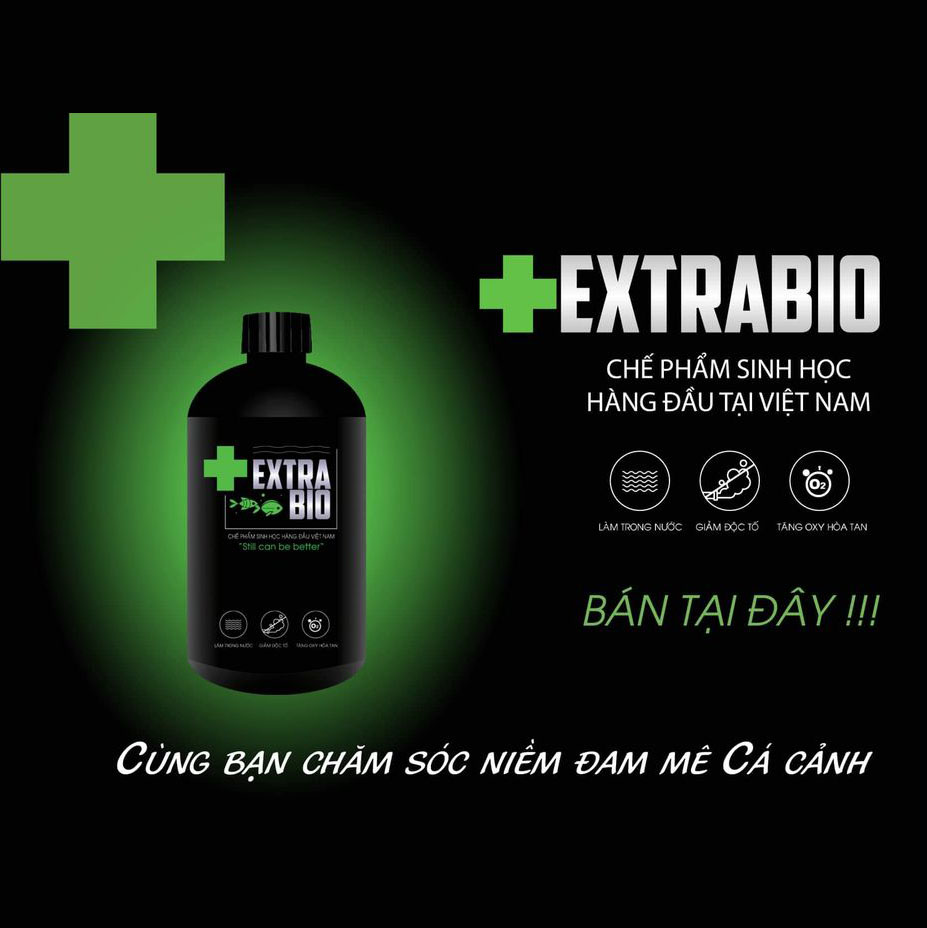 Men Vi Sinh Extra Bio cao cấp cho cá cảnh - Vi Sinh ExtraBio
